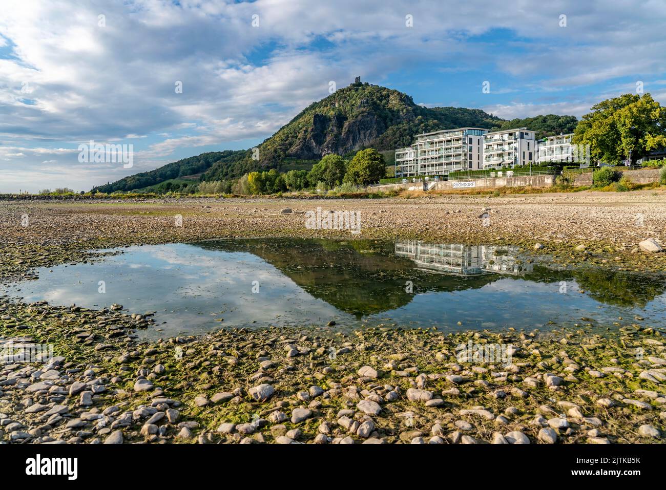 The Rhine at extreme low water, near Bad Honnef Rhöndorf, below the ...