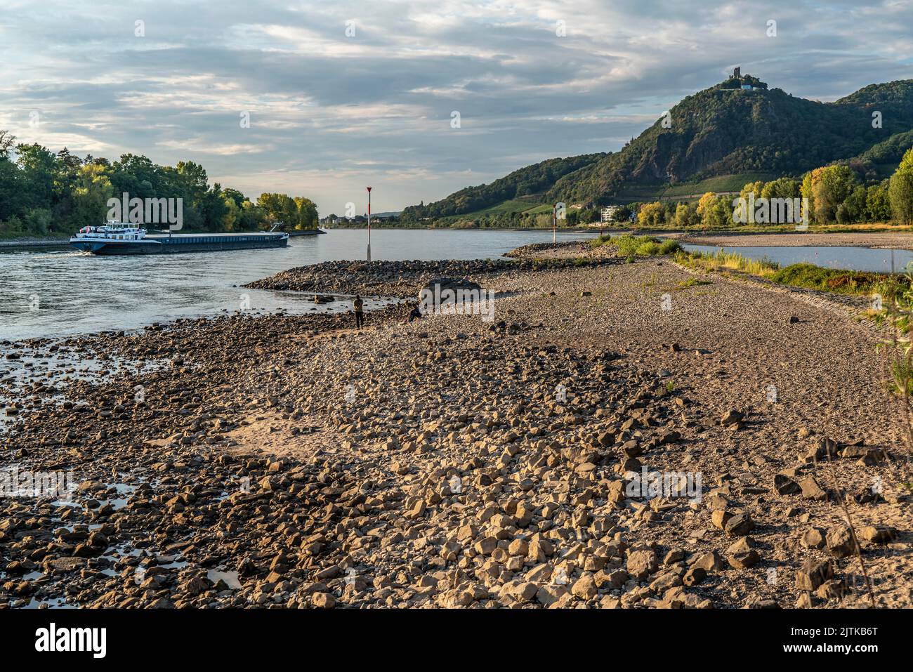 The Rhine at extreme low water, near Bad Honnef Rhöndorf, below the ...