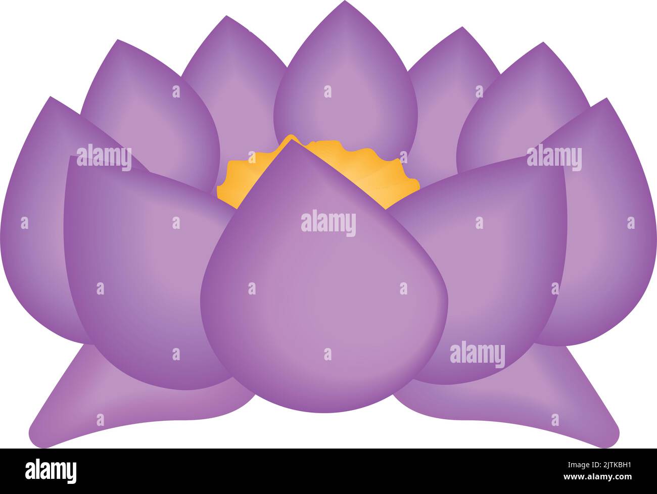 purple lotus flower Stock Vector Image & Art - Alamy