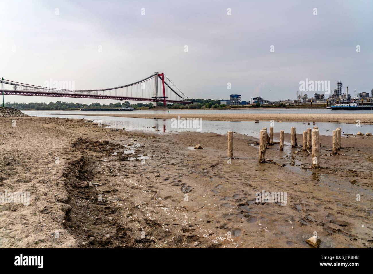 Rhine at Emmerich, extremely low water, Rhine level at 0 cm, tendency ...