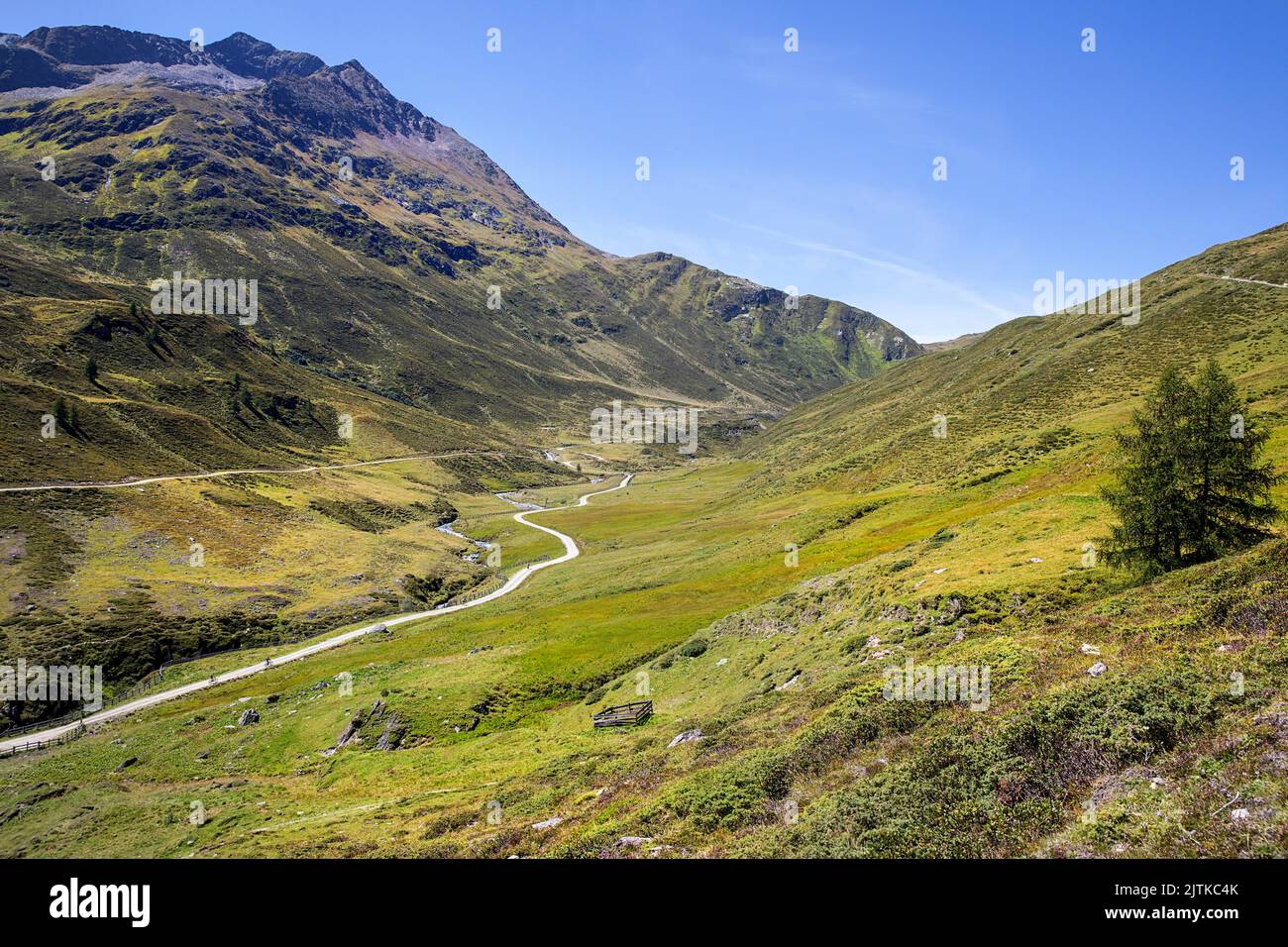 View on a beautiful green pastures of the alpine valley of defereggen ...