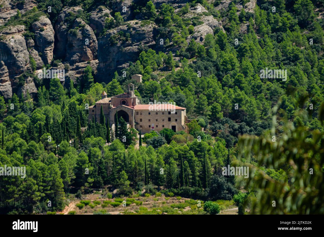 Horta de San Juan is the home of Manuel Pallarés, friend and companion ...