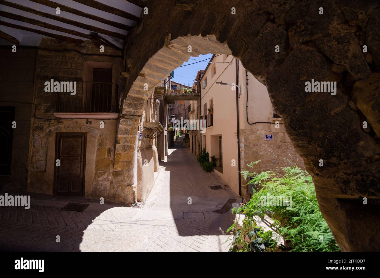 Horta de San Juan is the home of Manuel Pallarés, friend and companion ...
