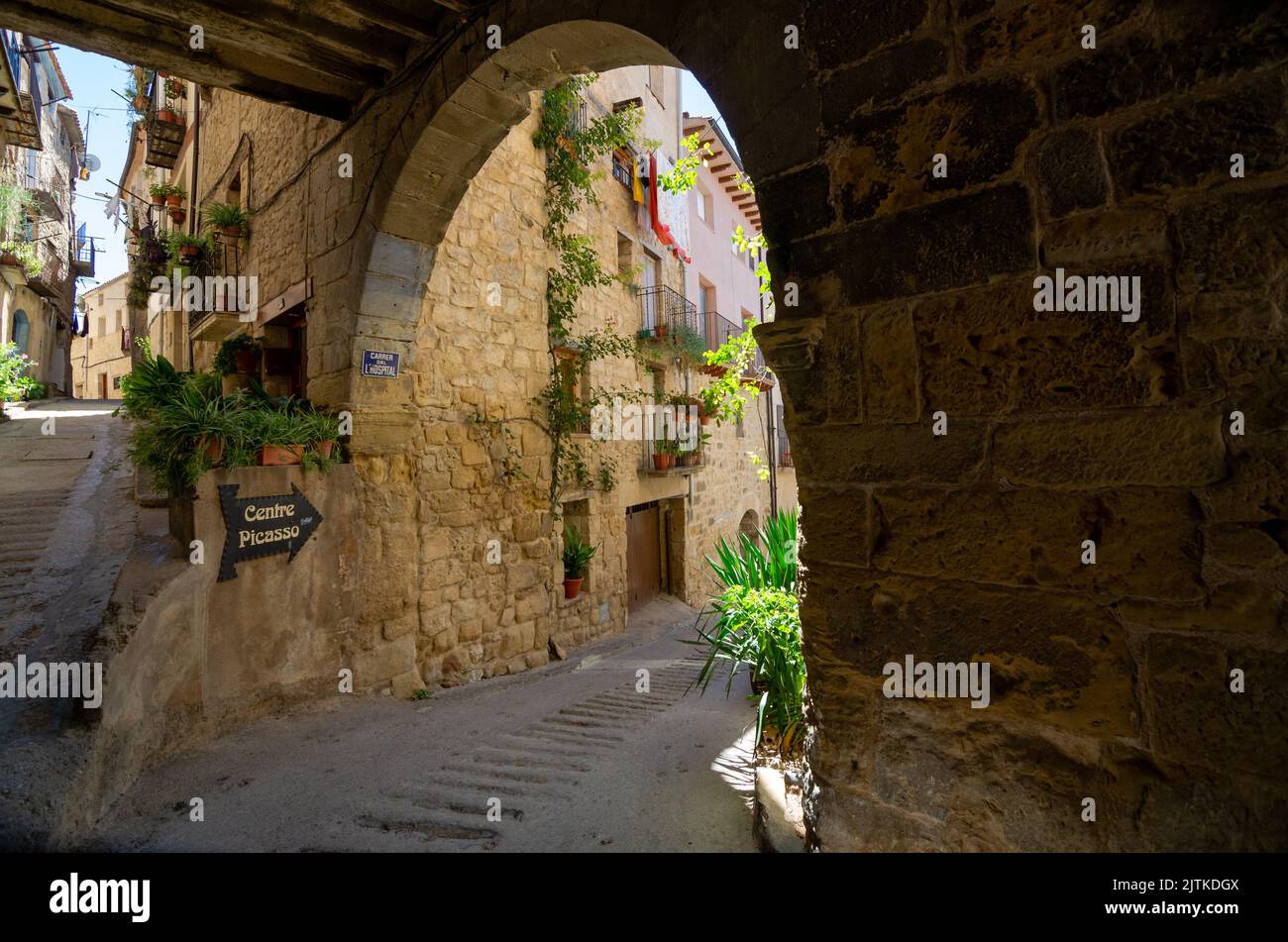 Horta de San Juan is the home of Manuel Pallarés, friend and companion ...