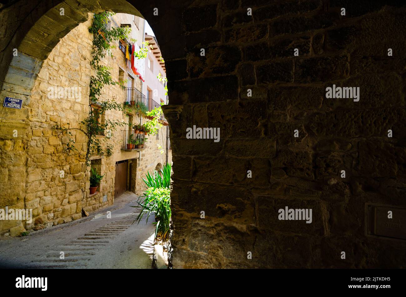 Horta de San Juan is the home of Manuel Pallarés, friend and companion ...