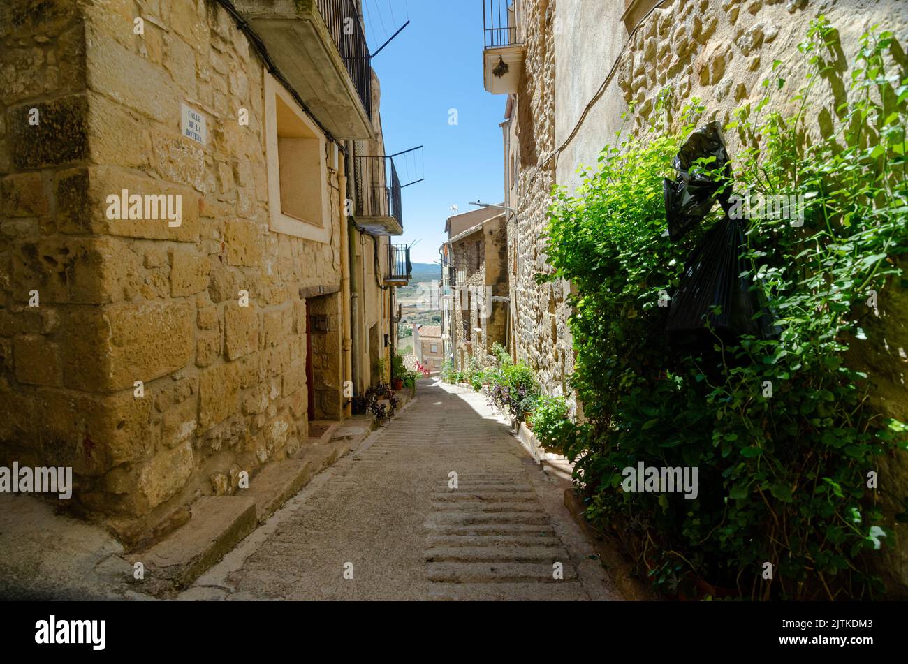 Horta de San Juan is the home of Manuel Pallarés, friend and companion ...