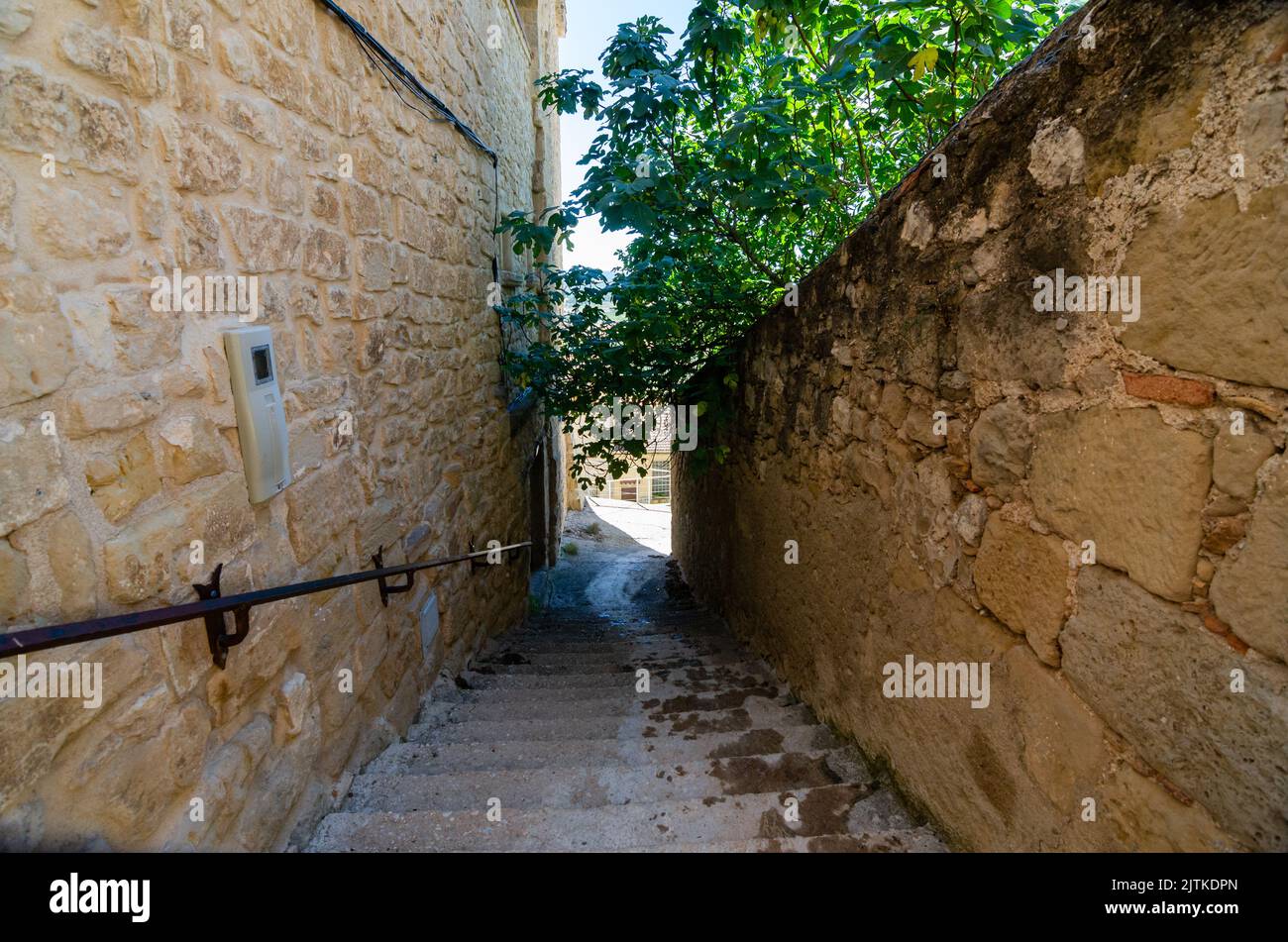 Horta de San Juan is the home of Manuel Pallarés, friend and companion ...