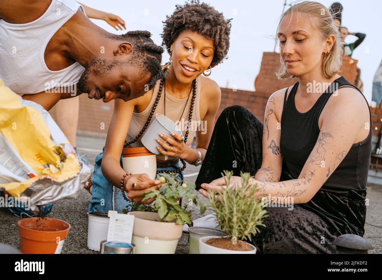 Young women with man planting potted plants on rooftop Stock Photo - Alamy
