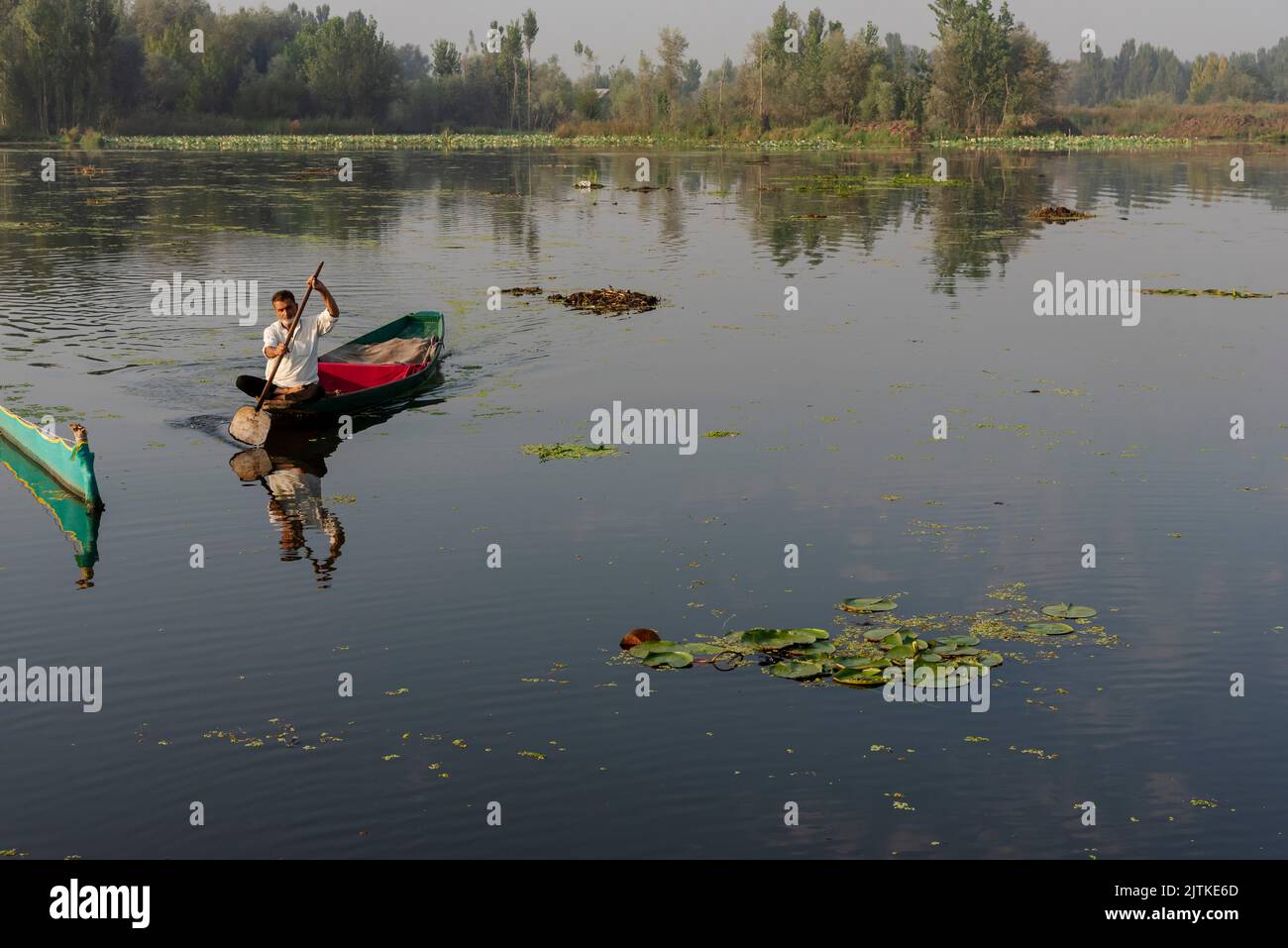 Srinagar, India - 31 Aug 2022. A boatman rows his boat on a sunny ...