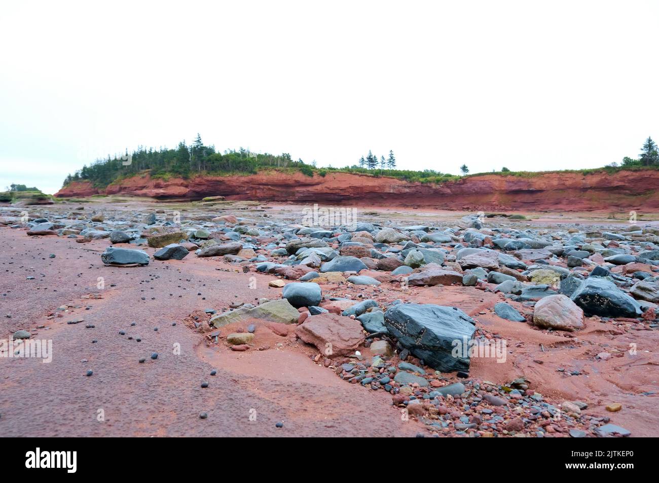 The surface of the Bay of Fundy as seen at low tide at Burntcoat Head ...