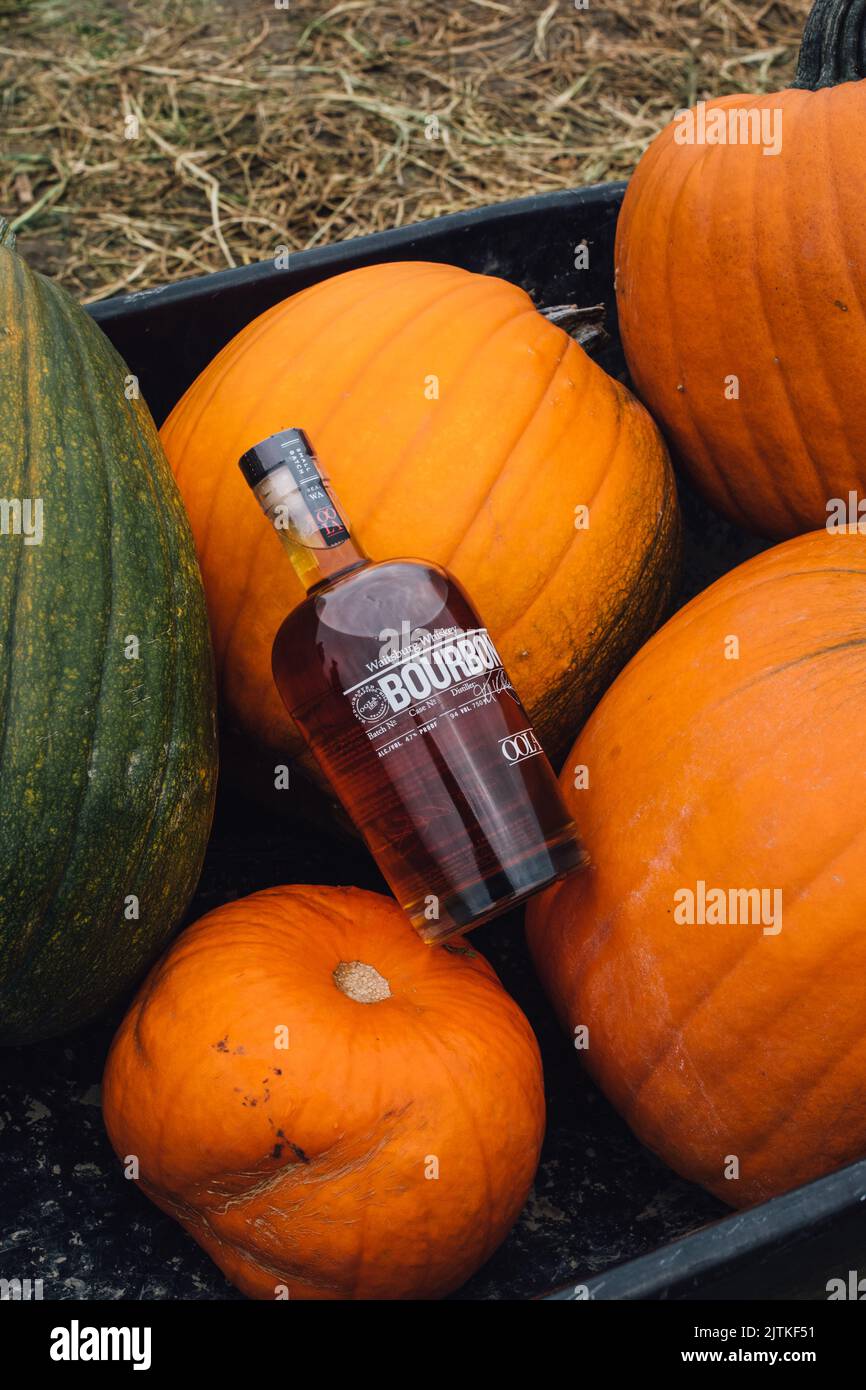A single bottle of Washington State Bourbon Whiskey in a pumpkin patch ...