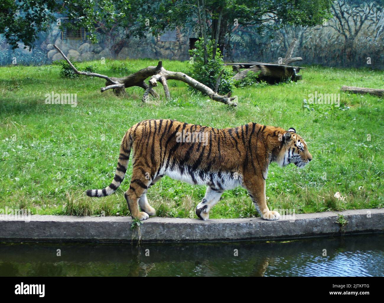 Öland zoo (InSwedish: Ölands djurpark) at Färjestaden, near the Öland ...