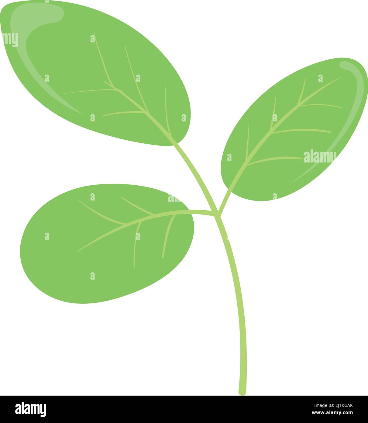 Green leaves branch. Cartoon plant part. Nature symbol isolated on ...