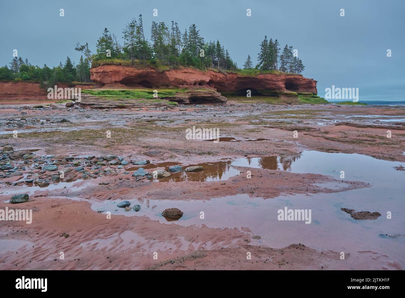 The surface of the Bay of Fundy as seen at low tide at Burntcoat Head Park in Nova Scotia Canada ...