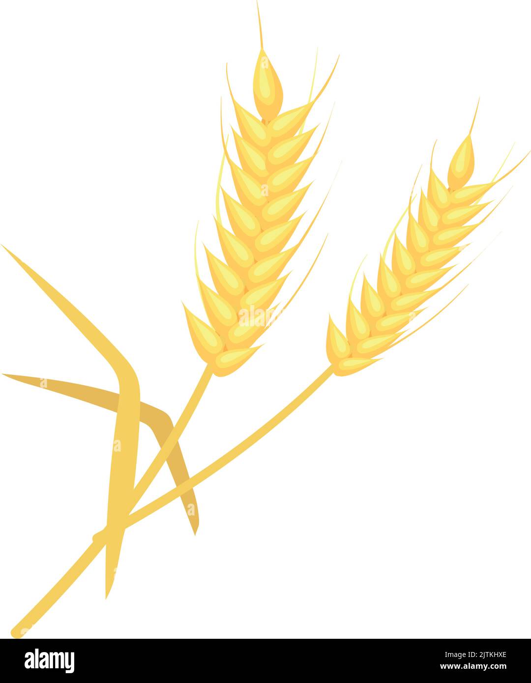 Wheat ears icon. Cartoon field grain crop isolated on white background ...