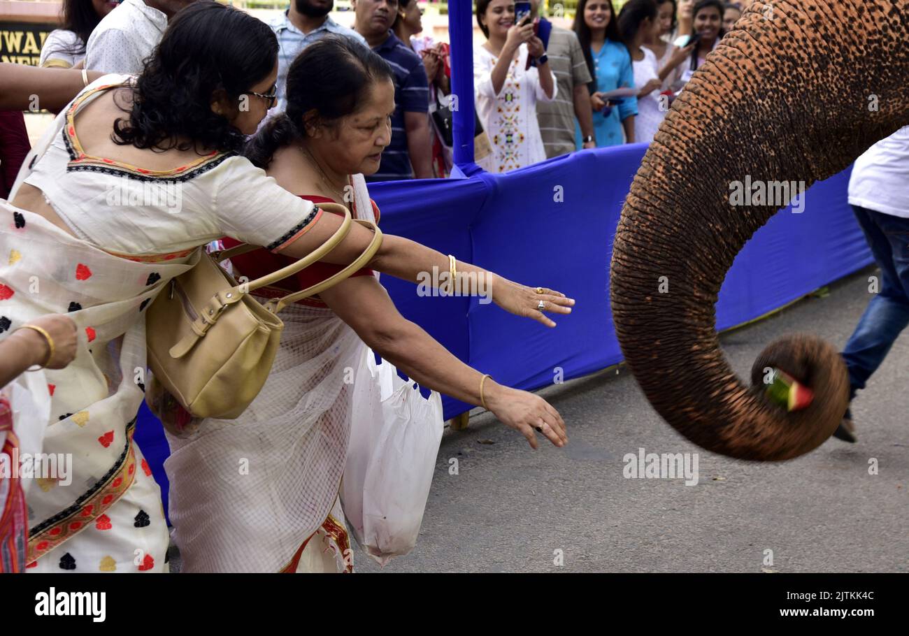 Guwahati, Guwahati, India. 31st Aug, 2022. Indian Hindu devotees ...