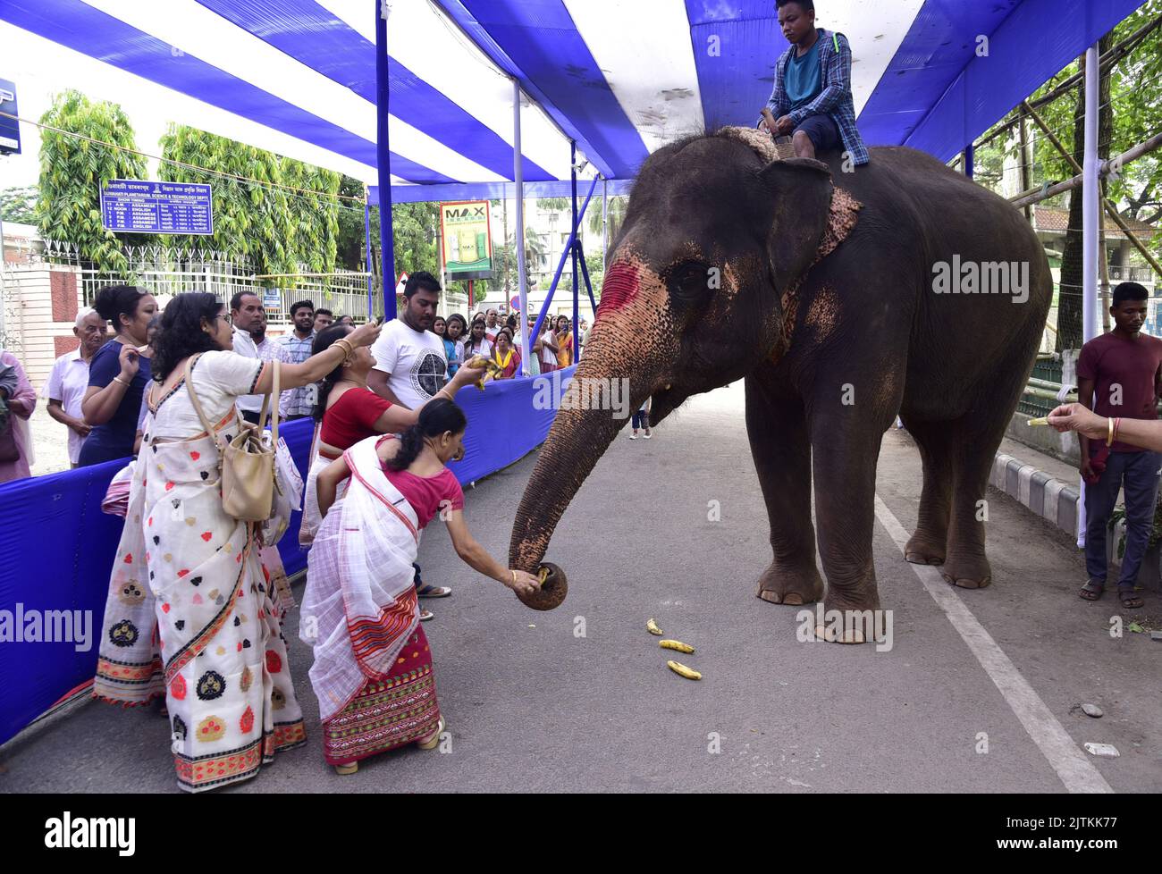 Guwahati, Guwahati, India. 31st Aug, 2022. Indian Hindu devotees ...