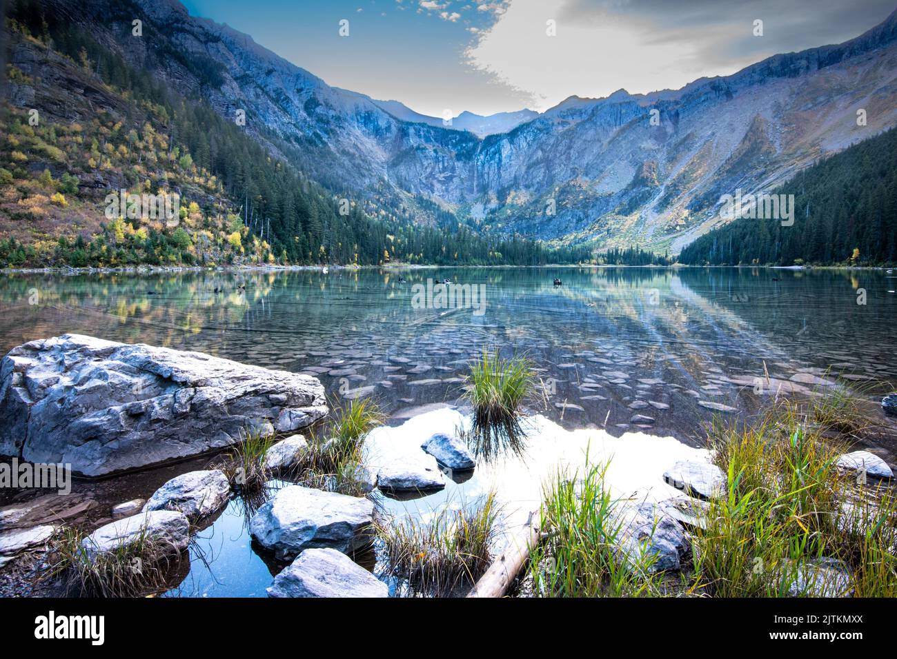 The beautiful Avalanche lake shore in Glacier National Park with ...