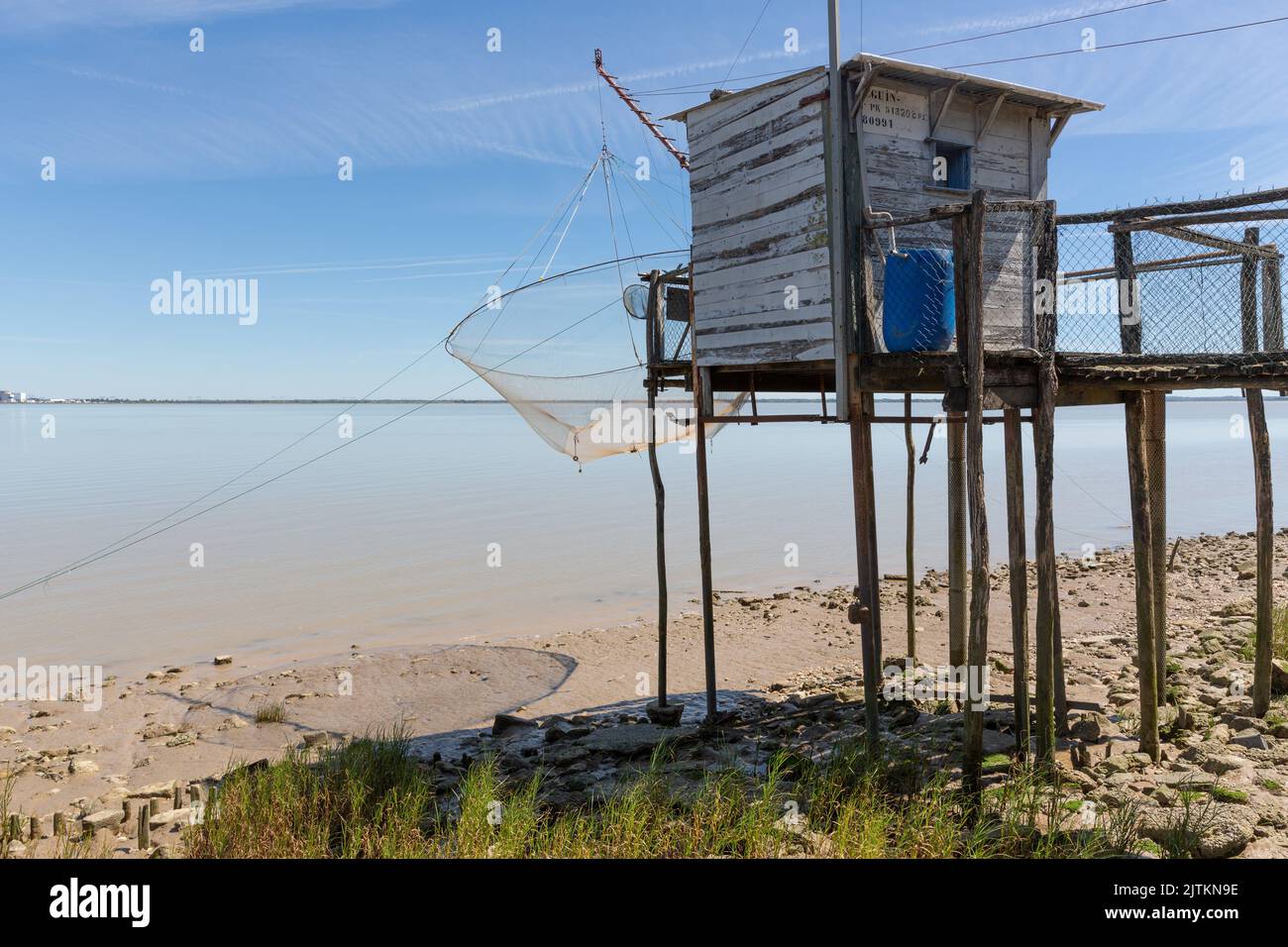 White shrimp bordeaux hi-res stock photography and images - Alamy