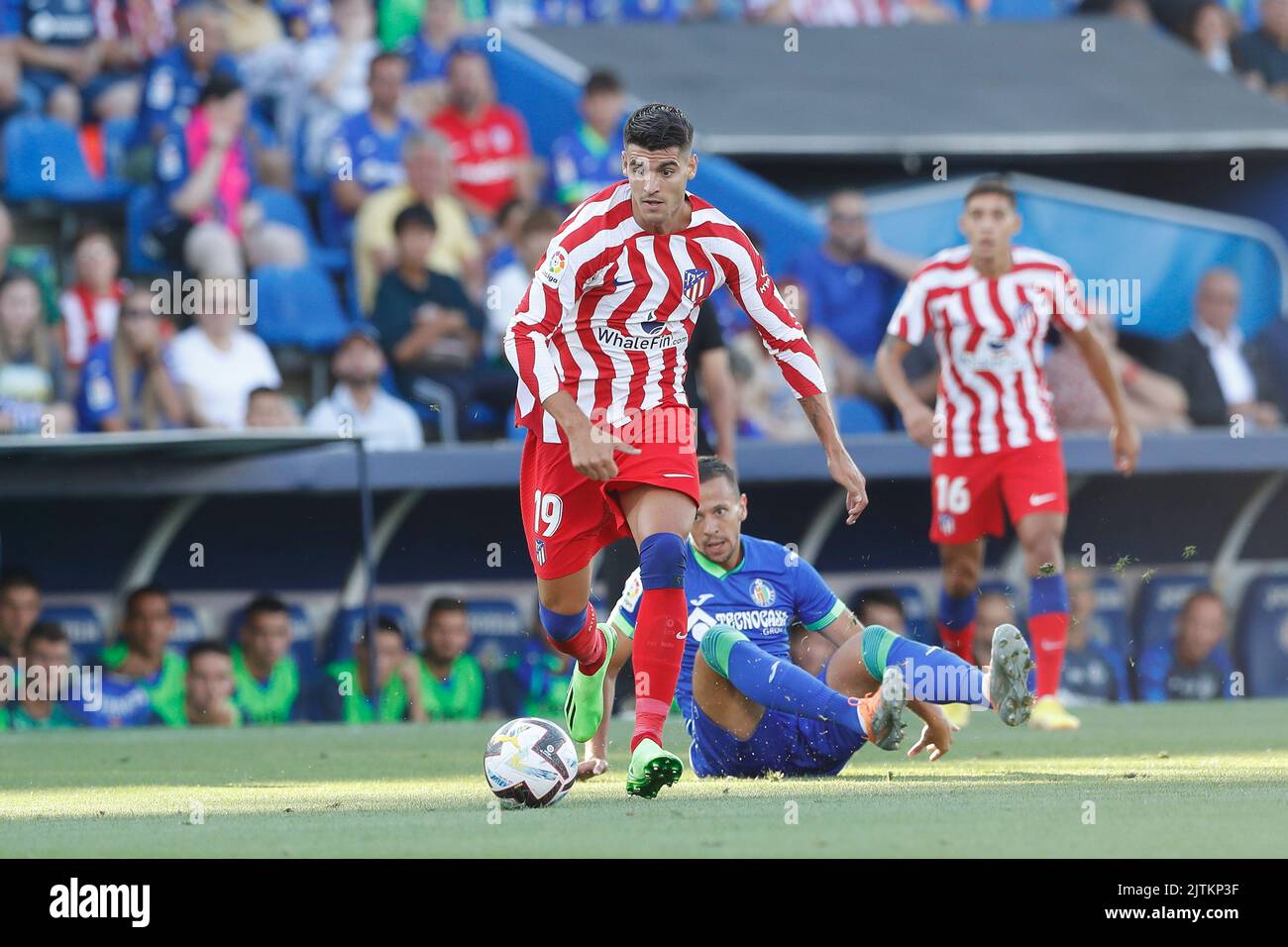 álvaro morata atletico madrid 2022 hi-res stock photography and images ...