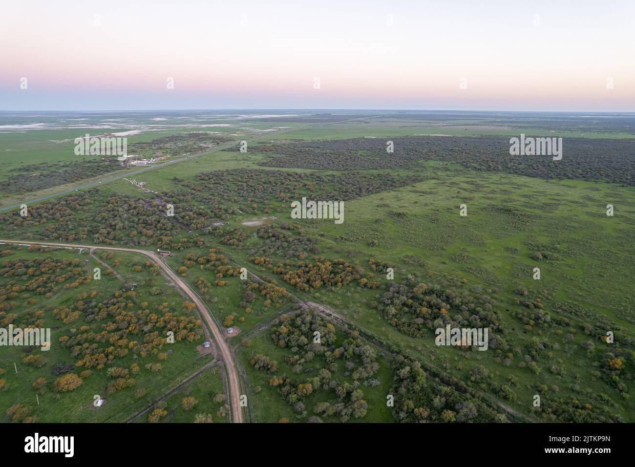 Aerial view of a field between rivers, its green pastures and espinillo ...