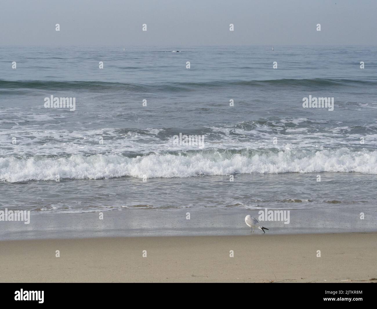 A sunny day on the beach with a cloudy sky above Stock Photo - Alamy
