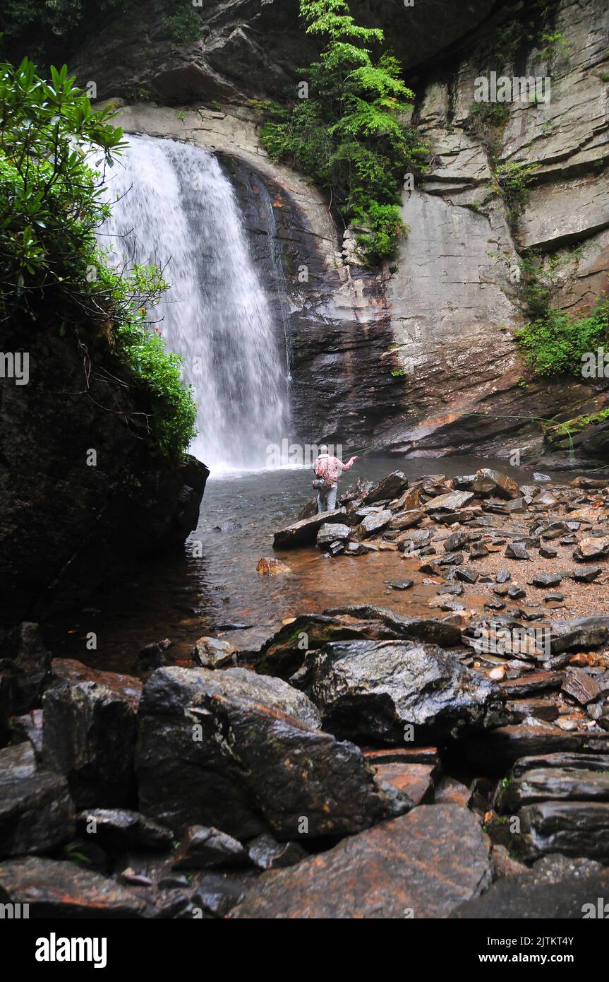 A trout angler works a pool below Looking Glass Falls in the Pisgah ...