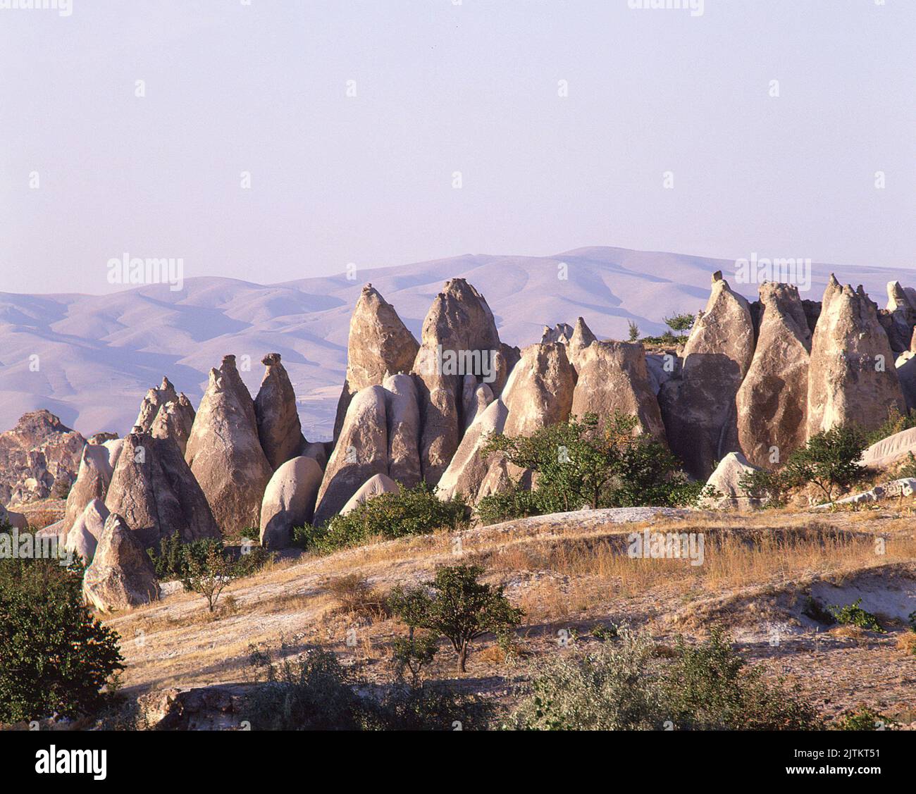 Tufface structure hi-res stock photography and images - Alamy