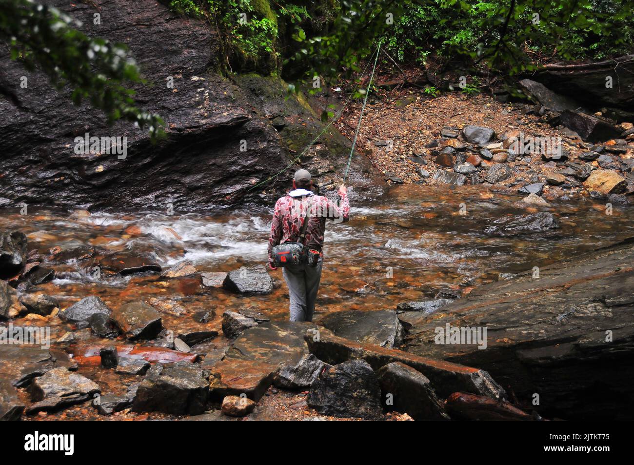 A trout angler works a pool below Looking Glass Falls in the Pisgah ...