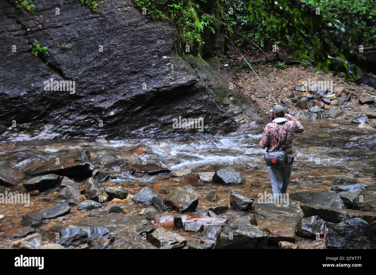 A trout angler works a pool below Looking Glass Falls in the Pisgah ...