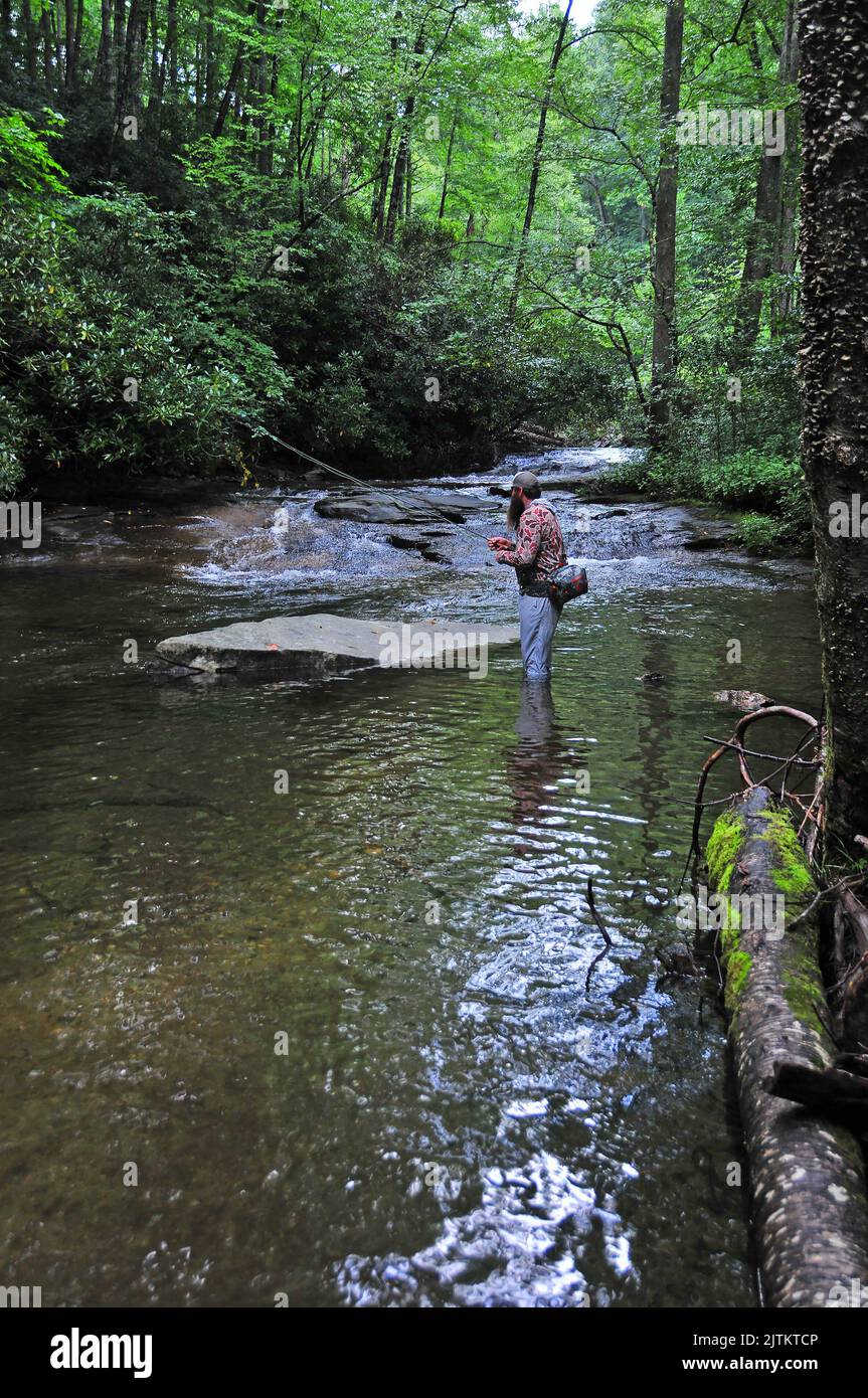 A trout angler works a quiet pool off a quiet river in North Carolina's ...