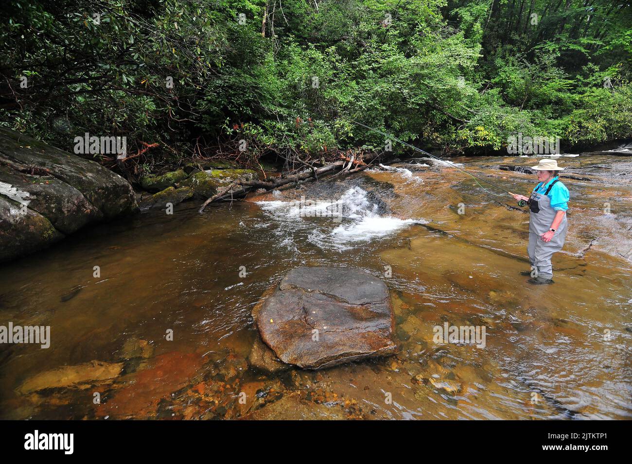 A trout angler works a quiet pool off a quiet river in North Carolina's ...