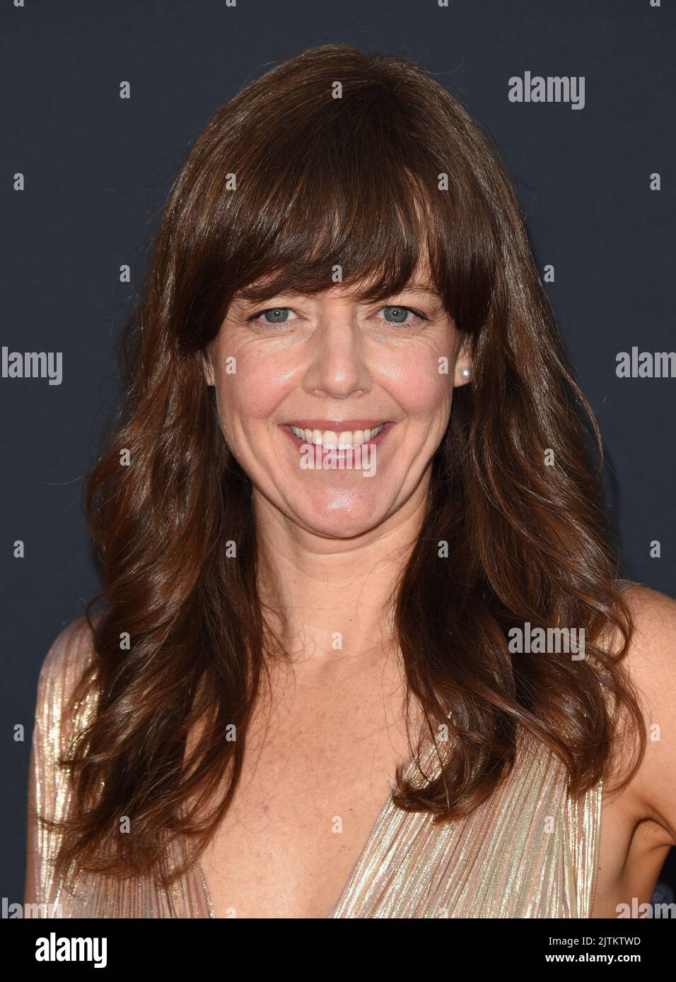 Alice Brooks arriving at the 5th Annual HCA Film Awards held at Avalon ...