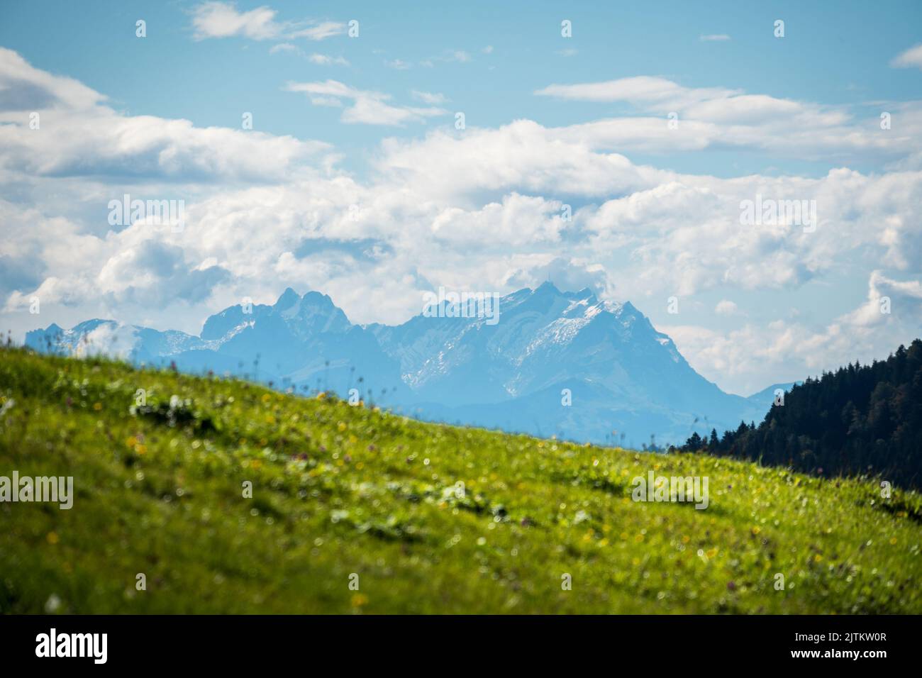 A wide green field with a mountain background Stock Photo - Alamy