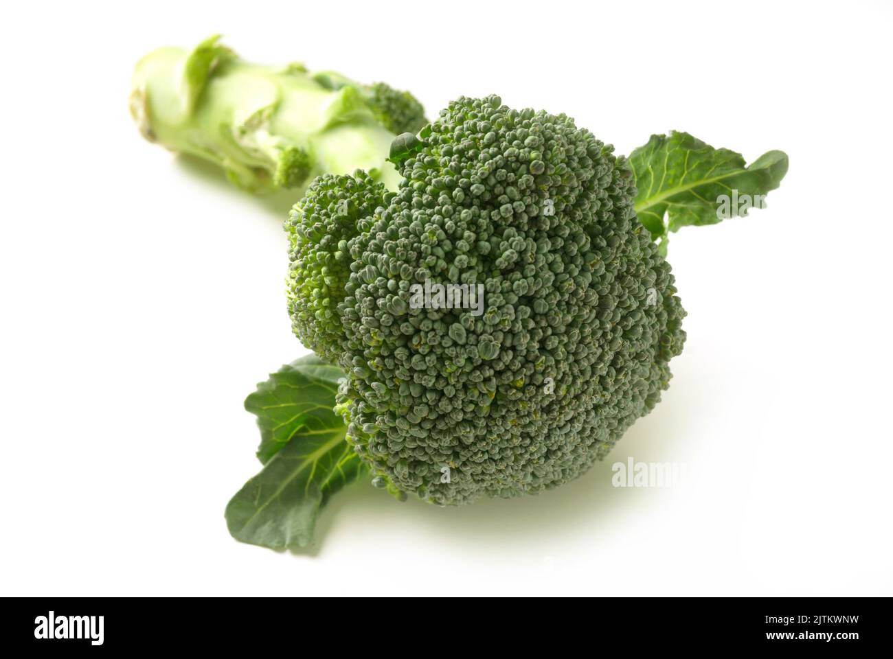 A single piece of broccoli floret on white Stock Photo - Alamy