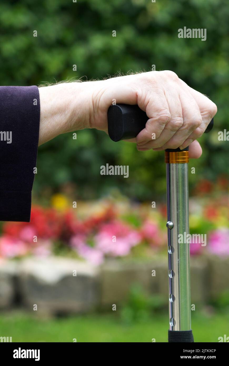 Elderly womans hand holding a walking stick Stock Photo - Alamy