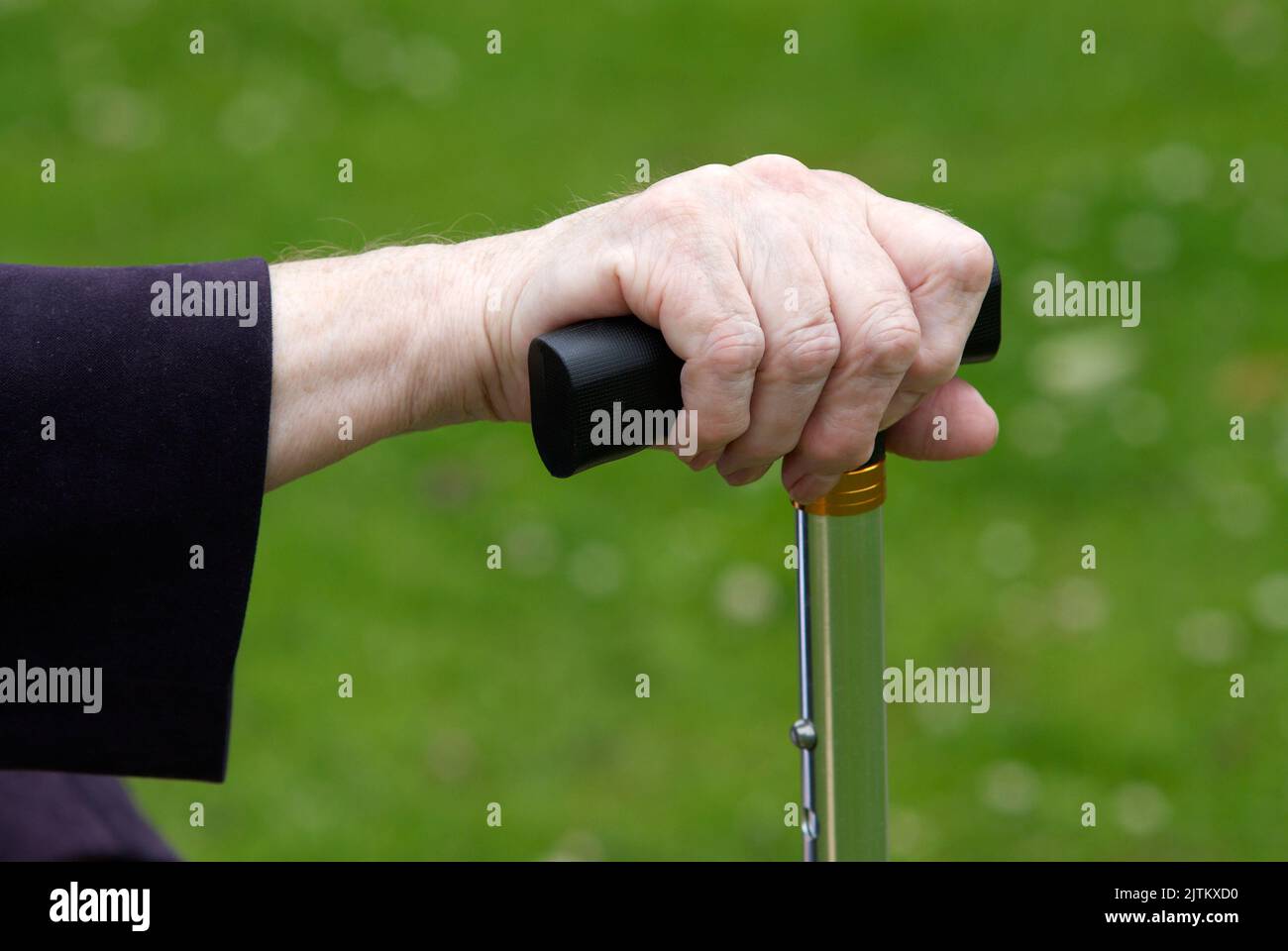 Walking stick handle hi-res stock photography and images - Alamy