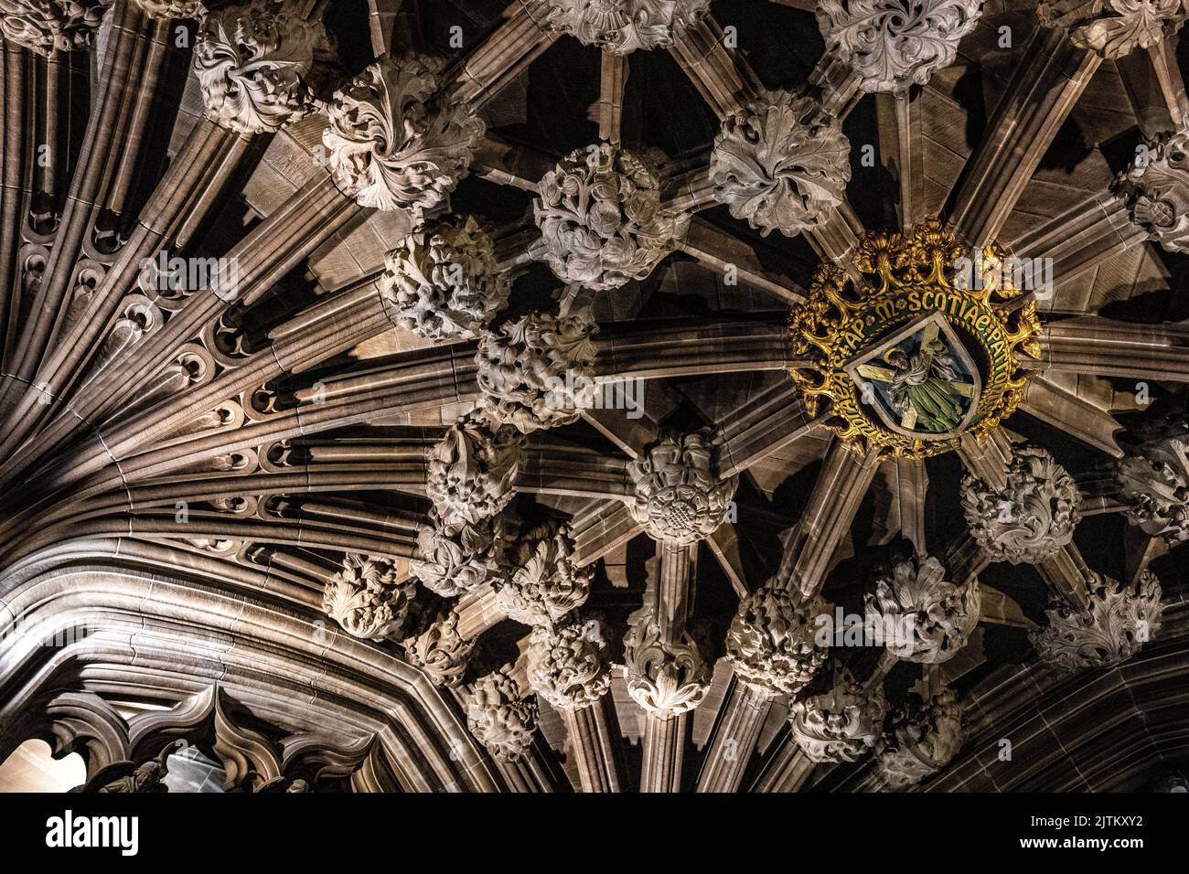 High cathedral ceiling hi-res stock photography and images - Alamy