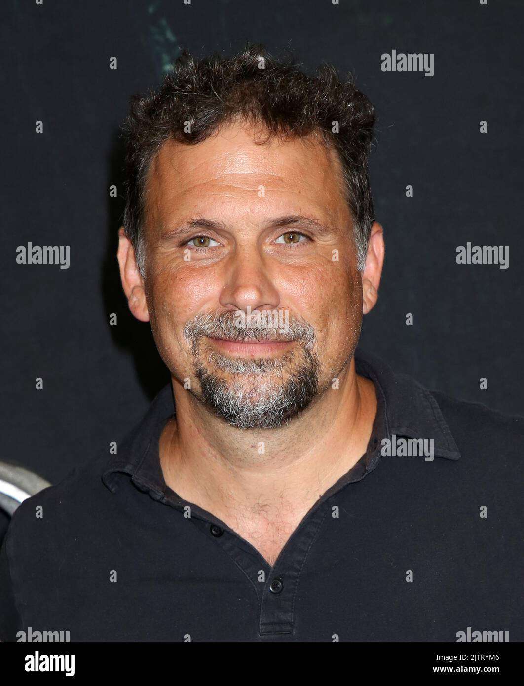 Jeremy Sisto attending 'The Lord of The Rings: The Rings of Power' New ...