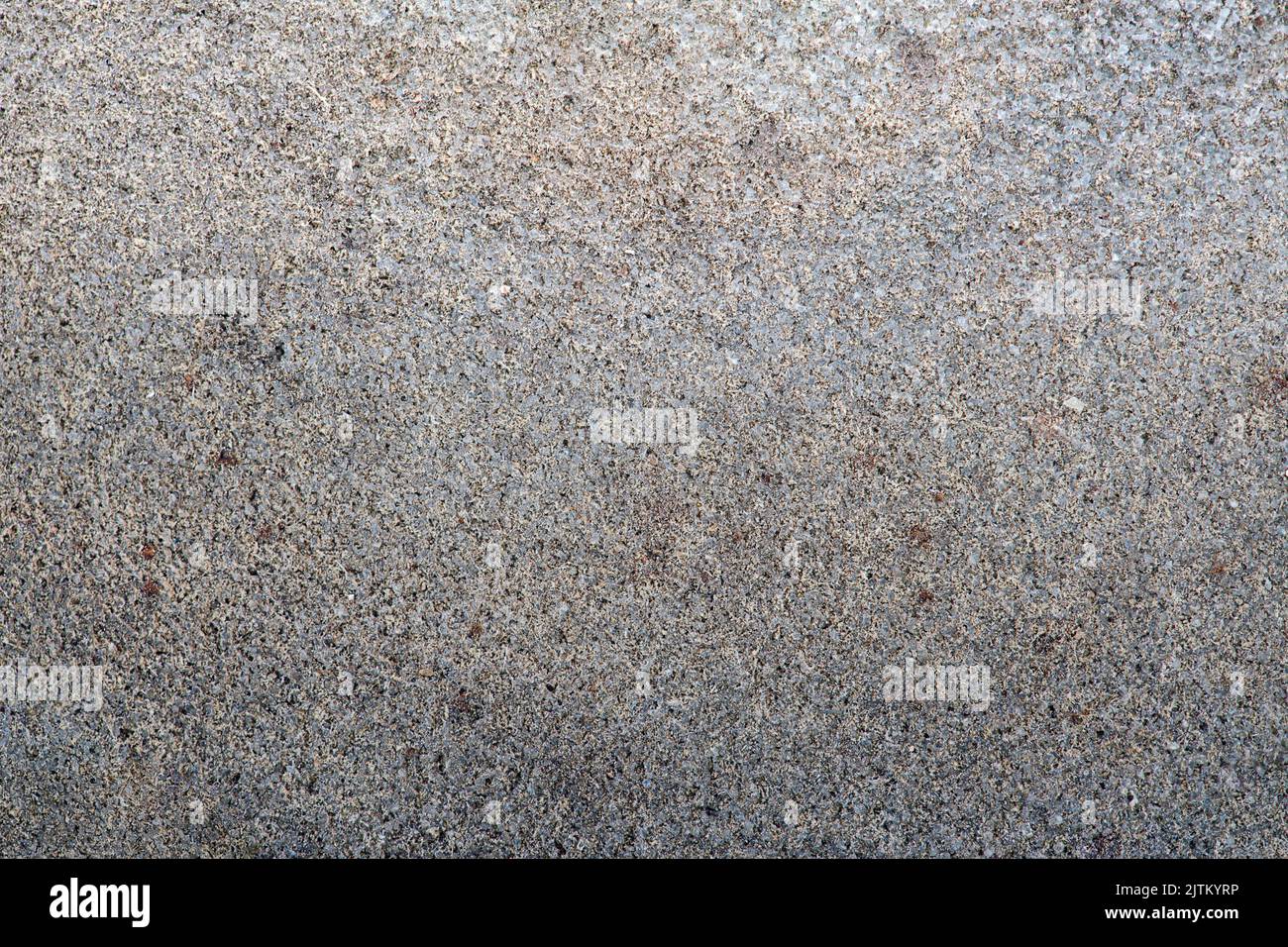 Level grey concrete texture riddled with black small grains. Even and ...