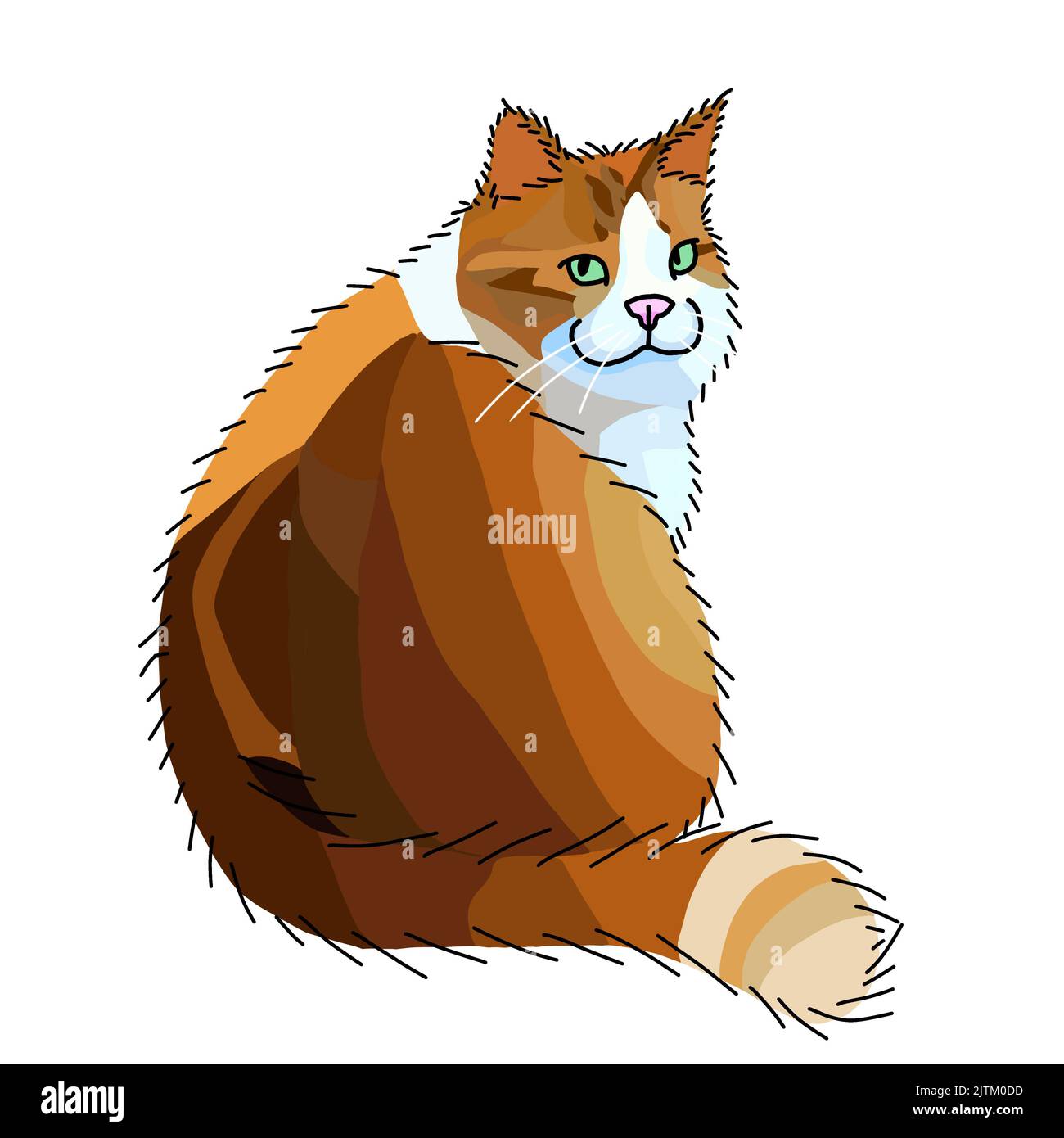 Funny looks Cut Out Stock Images & Pictures - Alamy