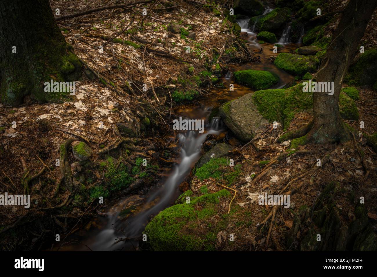 Small creek near Bernov village before confluence with Nejdecky creek ...