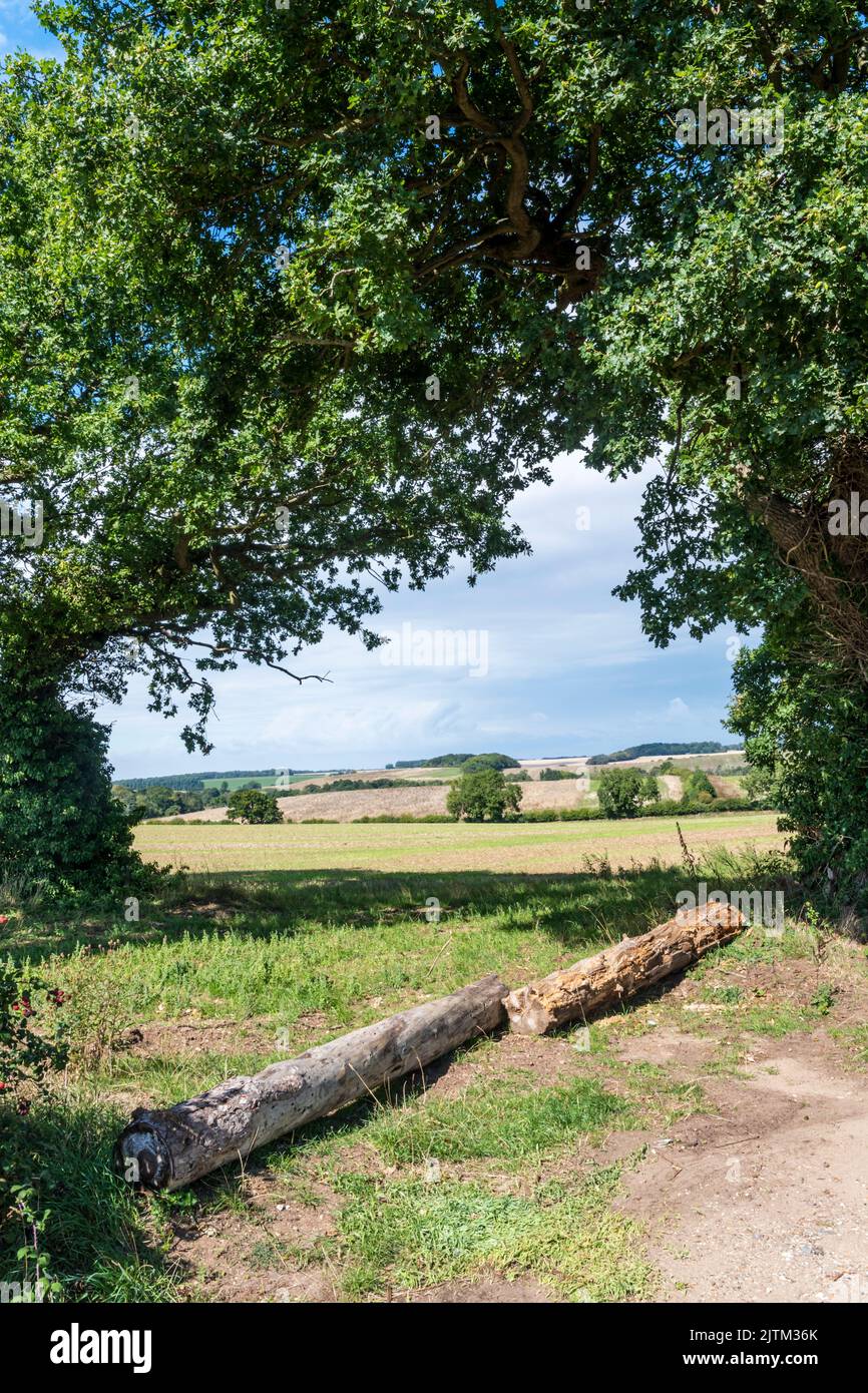 Logs blocking a field entrance in Norfolk to prevent unwanted use by ...