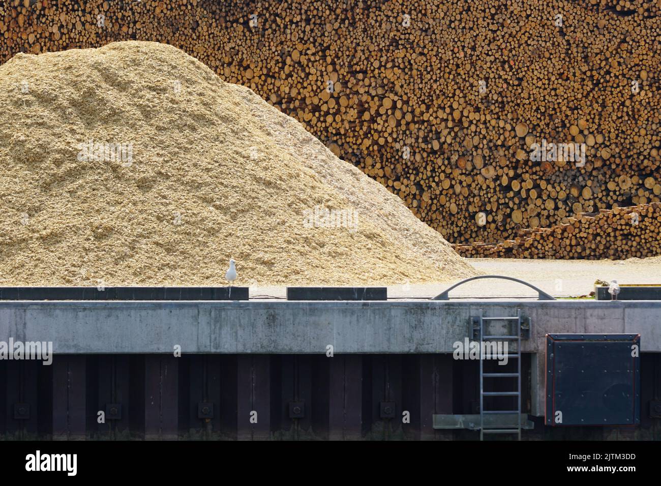 a large pile of wood chips and a tall ridge of logs in the port area ...