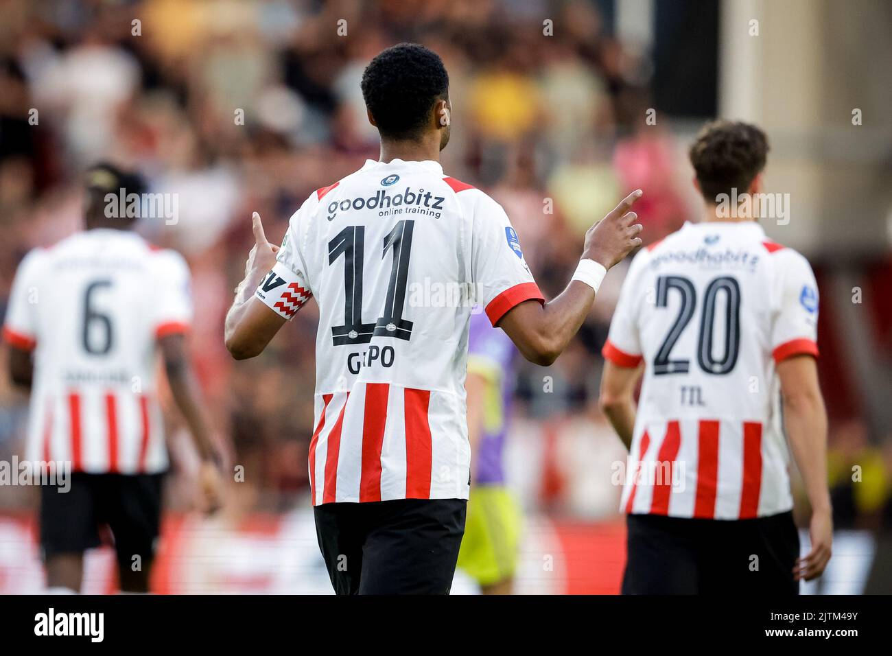 EINDHOVEN, NETHERLANDS - AUGUST 31: Cody Gakpo of PSV celebrates his ...