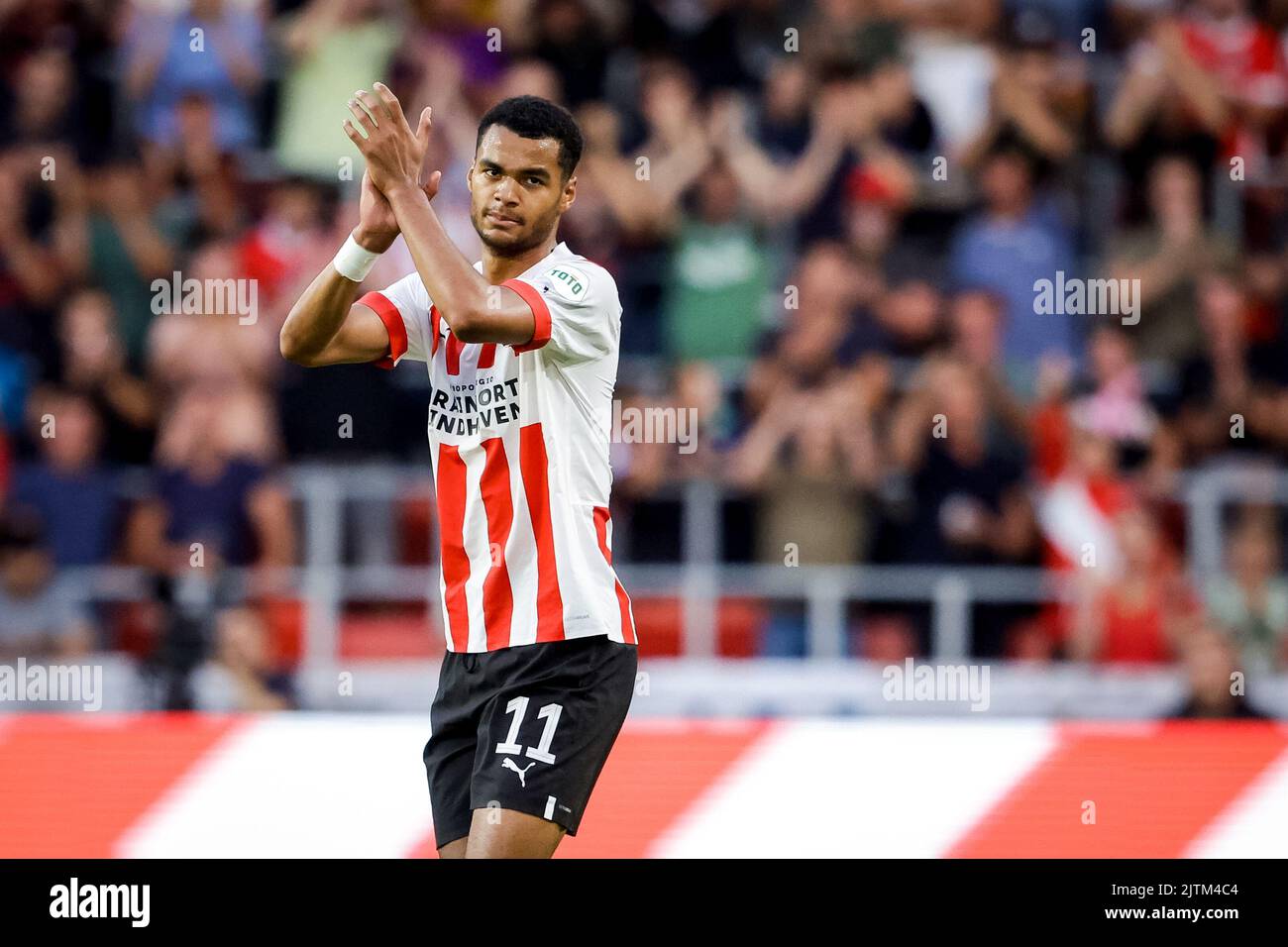 EINDHOVEN, NETHERLANDS - AUGUST 31: Cody Gakpo of PSV applauds during ...
