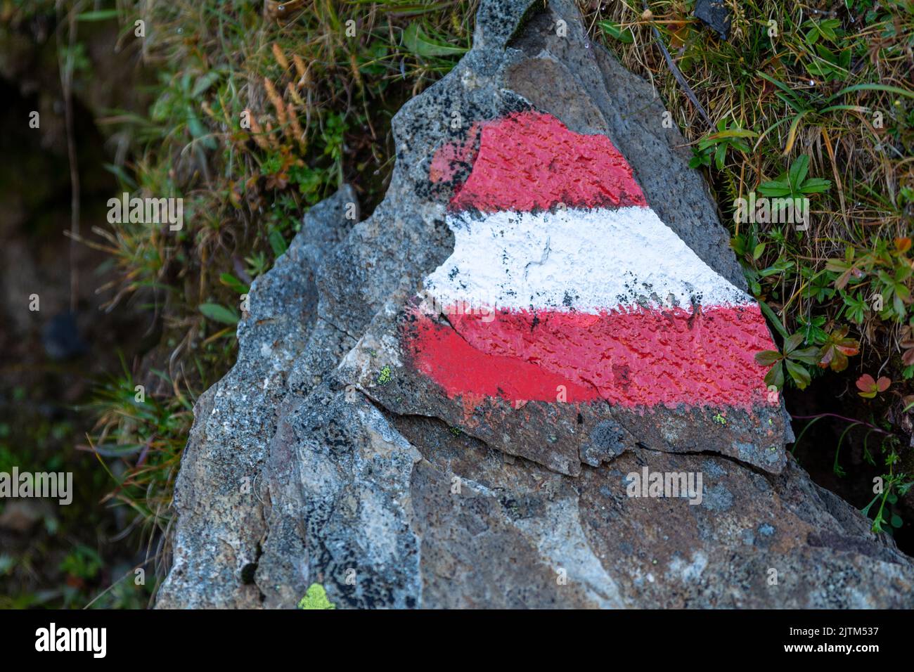 Alpine hiking trail in Austria, marked with painted Austrian flag on a ...