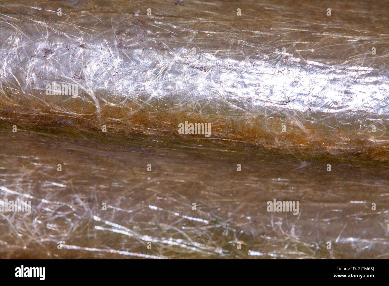 translucent fiberglass tile for background Stock Photo - Alamy