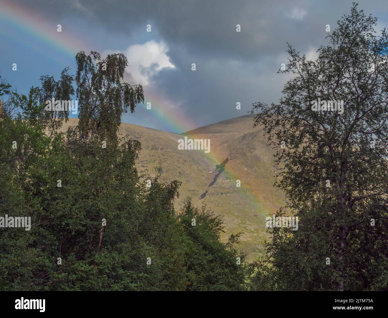 Rainbow over green hills,mountains and birch tree forest at Swedish ...