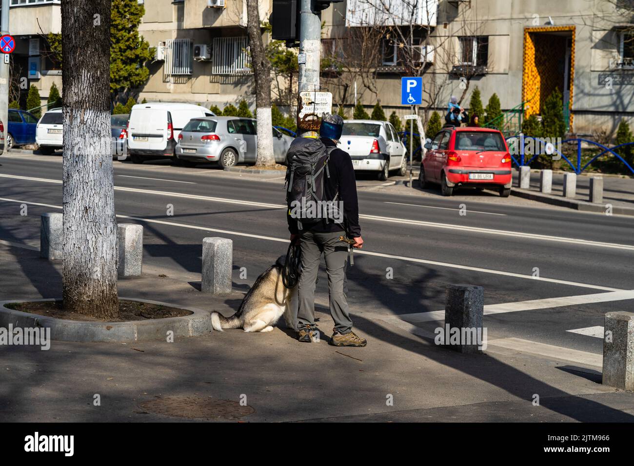 Car traffic, pollution, traffic jam in the morning and evening in the ...